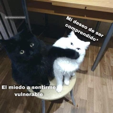 Pin De Glori Lu En Quotes Emoticonos Divertidos Piropos Chistosos