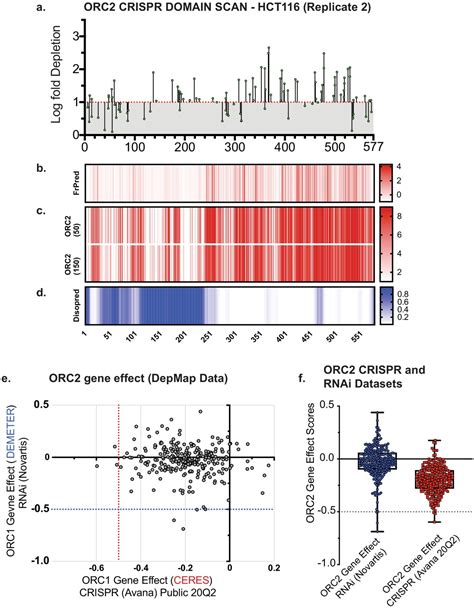 Figures And Data In The Human Origin Recognition Complex Is Essential For Pre Rc Assembly