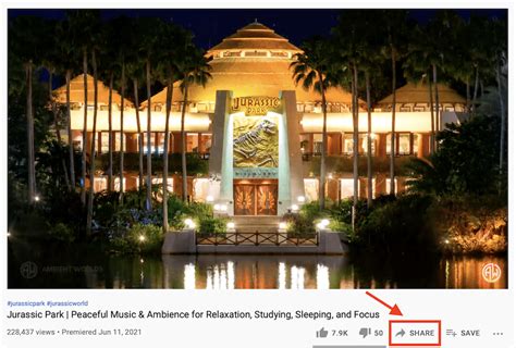 How To Use The Wordpress Youtube Embed Block Ask The Egghead Inc