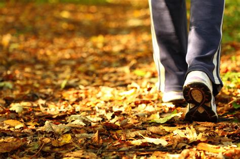 Why Walking Is The Best Exercise ⋆ Holistic Lifestyle Guide