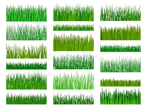 Grass Border Horizontal Seamless Pattern Stock Vector Illustration Of