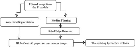 Sperm Segmentation Organigram Download Scientific Diagram