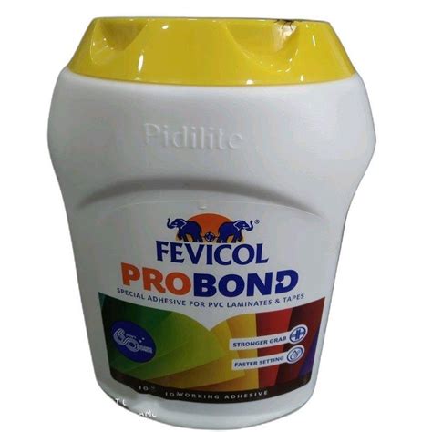 Pidilite Fevicol Probond Adhesive 1kg Bucket At ₹ 440kg In Cuttack