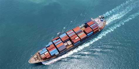 Les Différences Entre Les Codes Douaniers Hs Nc Et Taric Tout Ce Que