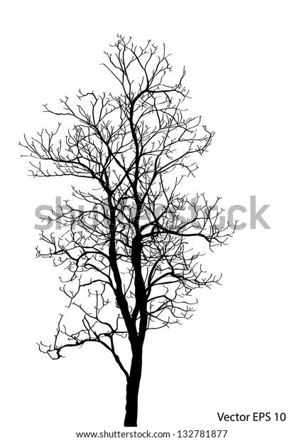 Dead Tree Without Leaves Vector Illustration Stock Vector Royalty Free Shutterstock