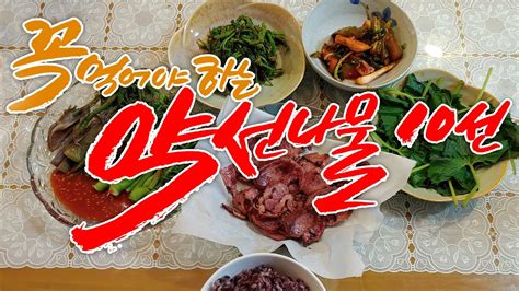 약이 되는 봄나물 10선 Youtube