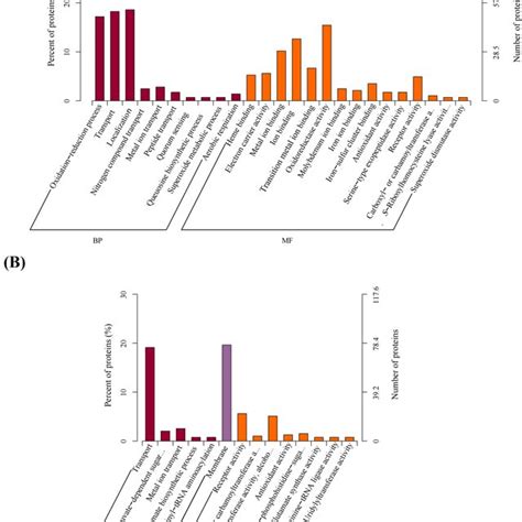 Go Enrichment Histogram A Biological Process Bp Molecular Function