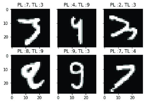 Some Error Results Predicted By Cnn Without Data Augmentation Where Pl