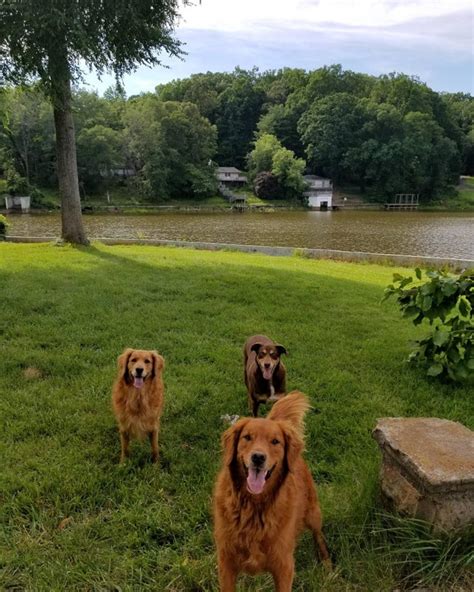 8 Basic Git Commands Every Newbie Developer Must Know Rcoding