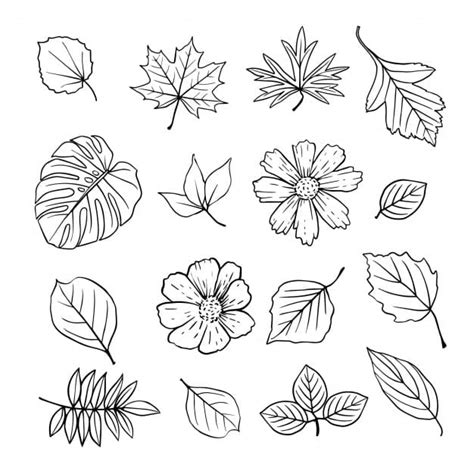 손으로 그린 된 꽃과 나뭇잎 컬렉션 Eps Uidownload