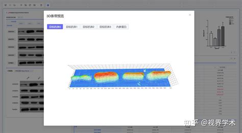 干货丨wb实验灰度值分析一键搞定，武汉视界学术平台首发！ 知乎