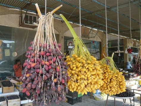 Финикова палма правила за трансплантация и отглеждане у дома 90 снимка