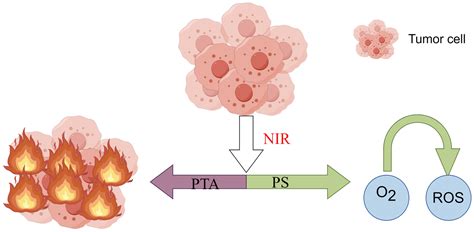 Advancements In Photothermal Therapy Using Near Infrared Light For Bone