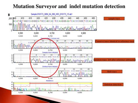 ppt software programs for sequence variant detection and