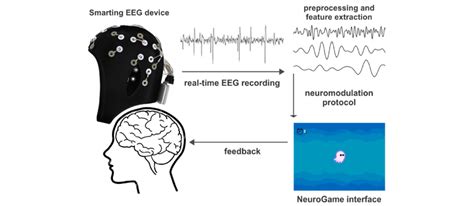 Neurofeedback Loop Of The Brain Computer Interface Based Download Scientific Diagram