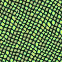 Texture Synthesis And Analysis By Rupert Paget