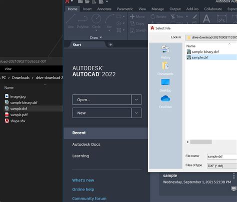 Dxf With Image Xref Are Unreadable During Initial Loading Autodesk