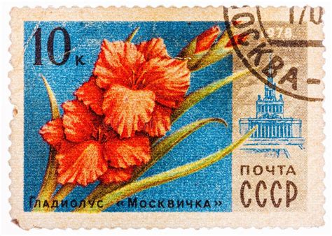 Stamp Printed In USSR CCCP Soviet Union Shows Image Of Gladiolus Moscovite And VDNH Building