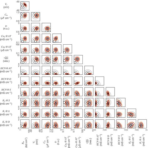 Figures And Data In Bayesian Inference For Biophysical Neuron Models