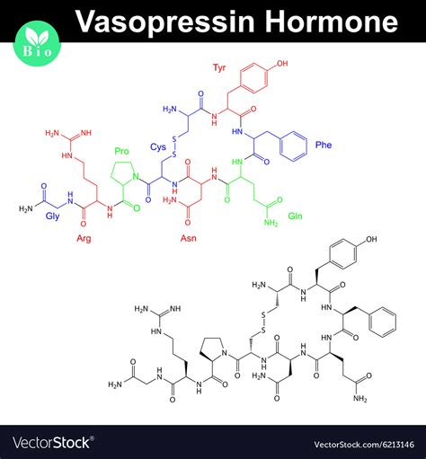 Vasopressin Hormone