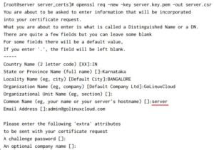 Setup Verify Mutual TLS Authentication MTLS With OpenSSL GoLinuxCloud