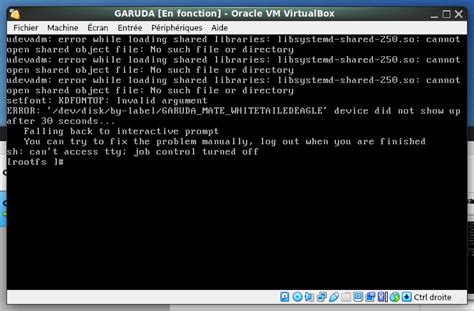 Libsystemd Shared 250so Problem In Garuda Mate Iso Virtualization