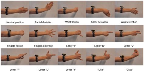 figure 2 from automatic gesture recognition framework based on forearm