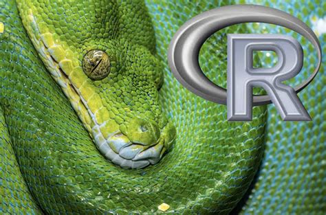 Fun With Python And R Gabe Mednick