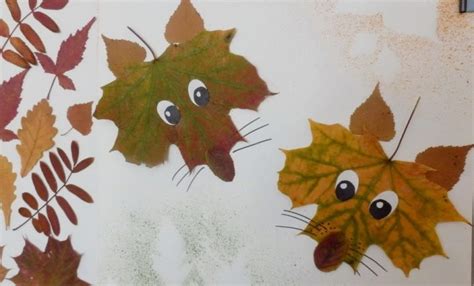Апликации от листа 85 снимки есенни занаяти на хартия за деца в детската градина Как да си