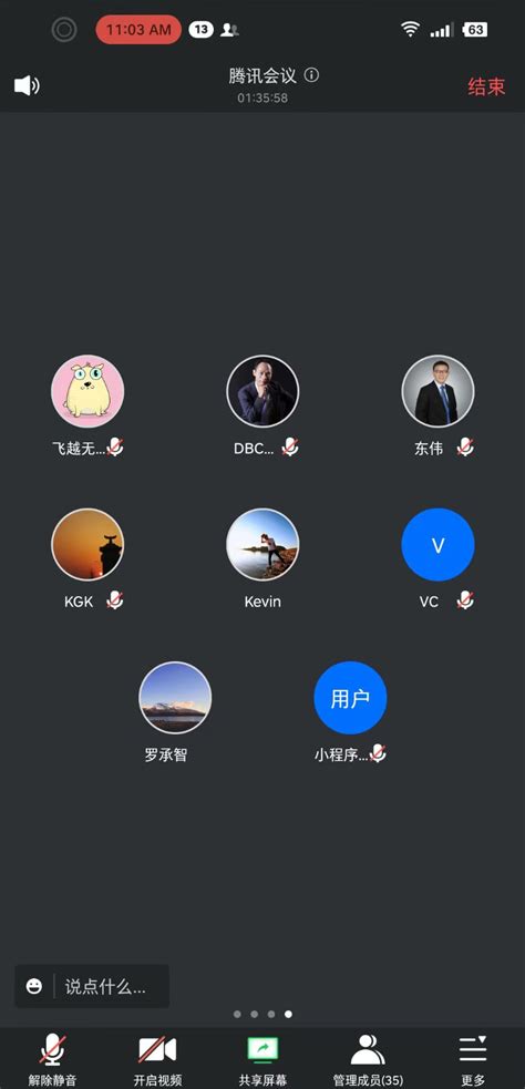 ledger issue dbc council