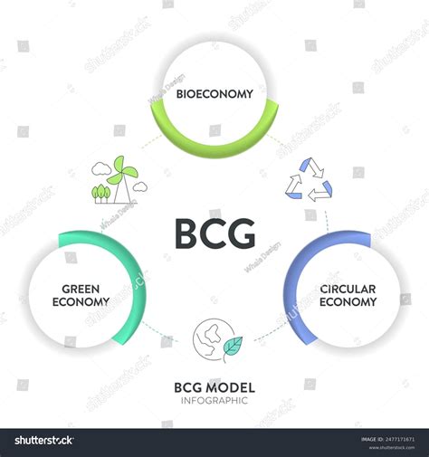 BCG Model Strategy Infographic Diagram Chart Royalty Free Stock Vector 2477171671 Avopix Com