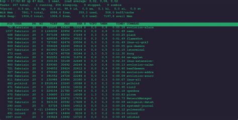 I 30 Comandi Linux Più Usati Che Devi Imparare Supporthost