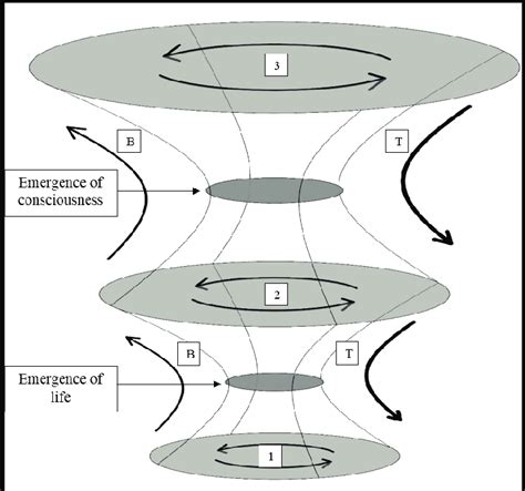 Multilevel Causal Loops Between Different Levels Of Evolutionary