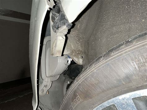 블라인드 자동차 후방추돌 당했습니다 이거 뼈대 먹었을까요 블라인드 자동차 후방추돌 당했습니다 이거 뼈대 먹었을까요