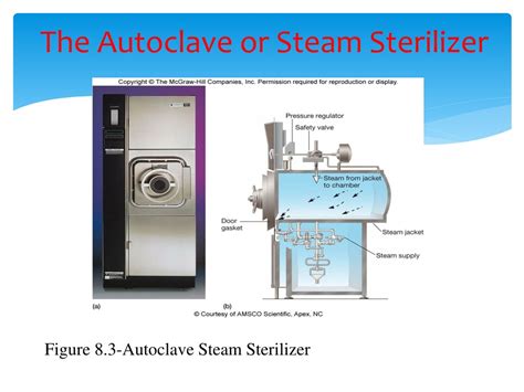 Ppt Microbial Control Methods Understanding Sterilization And