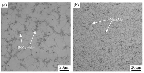 corrosion behavior of cmt cladding layer of az91 magnesium alloy