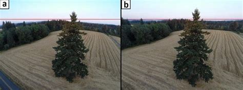 Barrel Lens Distortion Whats Causing It And How To Fix It