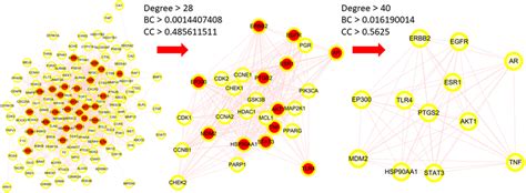 Ppi Network Hub Gene Screening Process The Red Nodes Represent The Download Scientific Diagram