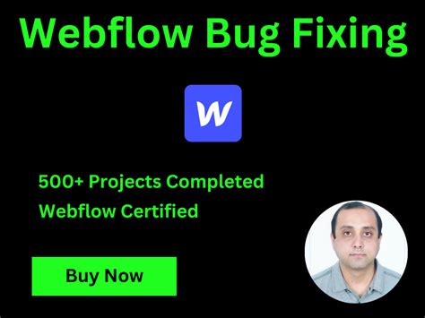 bugs fixed to your webflow website webflow developer webflow expert