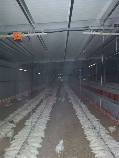 Eng Mohamed Ragab Posted On Linkedin