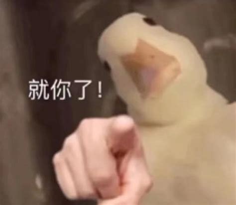 会计学专业毕业论文选题参考，会计学本科毕业论文不会写的快看过来！这几类题目轻松又好写！ 知乎