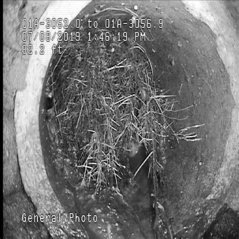 Sewer Object Detection Model By Try Merge