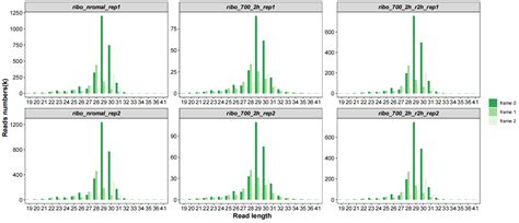 Chapter Align On Genome RiboProfiler Reference Book