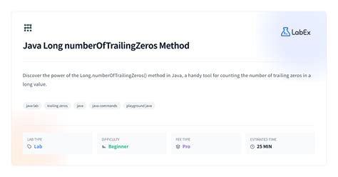 Java 의 Long Numberoftrailingzeros 메서드 탐구 Labex