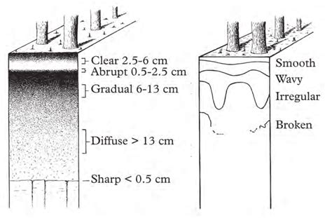 boundary characteristic definitions measurements refer to zone of