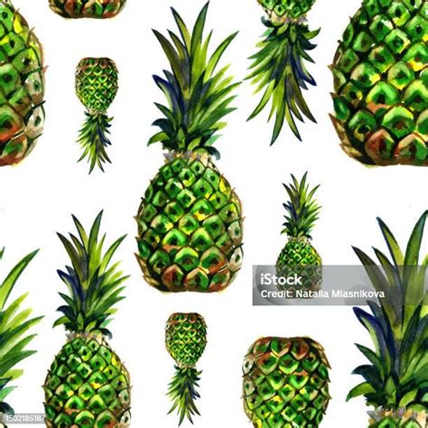 흰색 바탕에 수채화 여름 녹색 파인애플 패턴입니다 봄 과일 배경입니다 0명에 대한 스톡 벡터 아트 및 기타 이미지 0명 건강한 식생활 과일 Istock