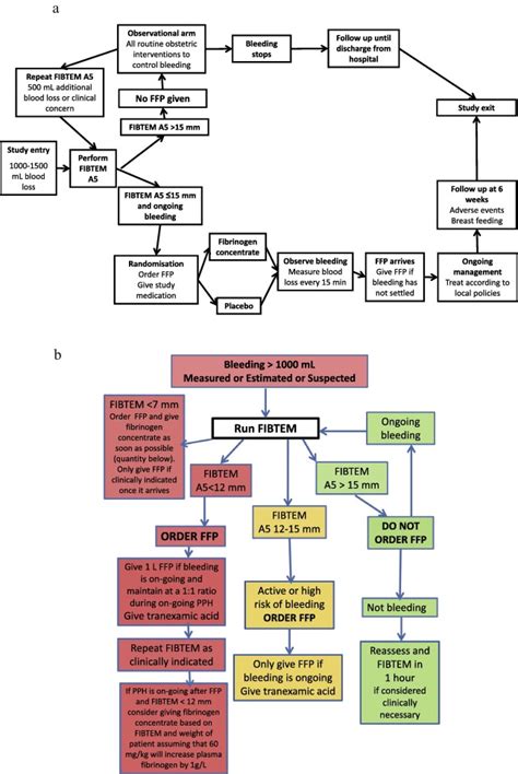 Management Of Postpartum Haemorrhage From Research Into Practice A