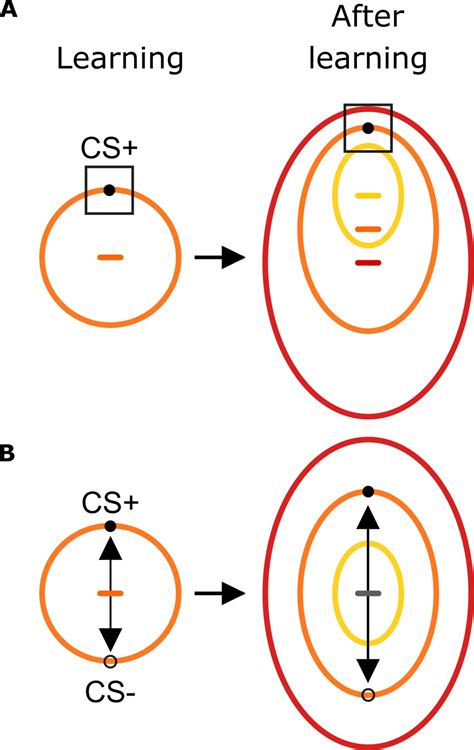 Figures And Data In Fixation Pattern Similarity Analysis Reveals