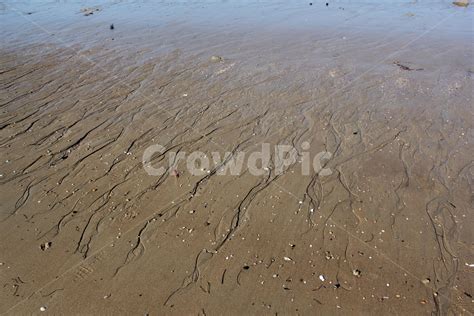 Beach Brown Detail Earth Ground 사진이미지일러스트캘리그라피 Binimin작가