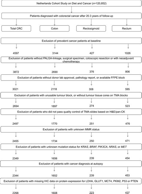 Flow Diagram Of The Number Of CRC Patients Available For Analyses In Download Scientific